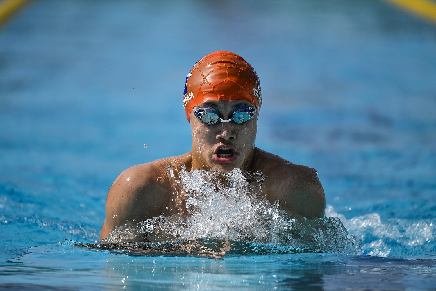 Swimmeetphotos.com - Sample Galleries with Prices - Pricing